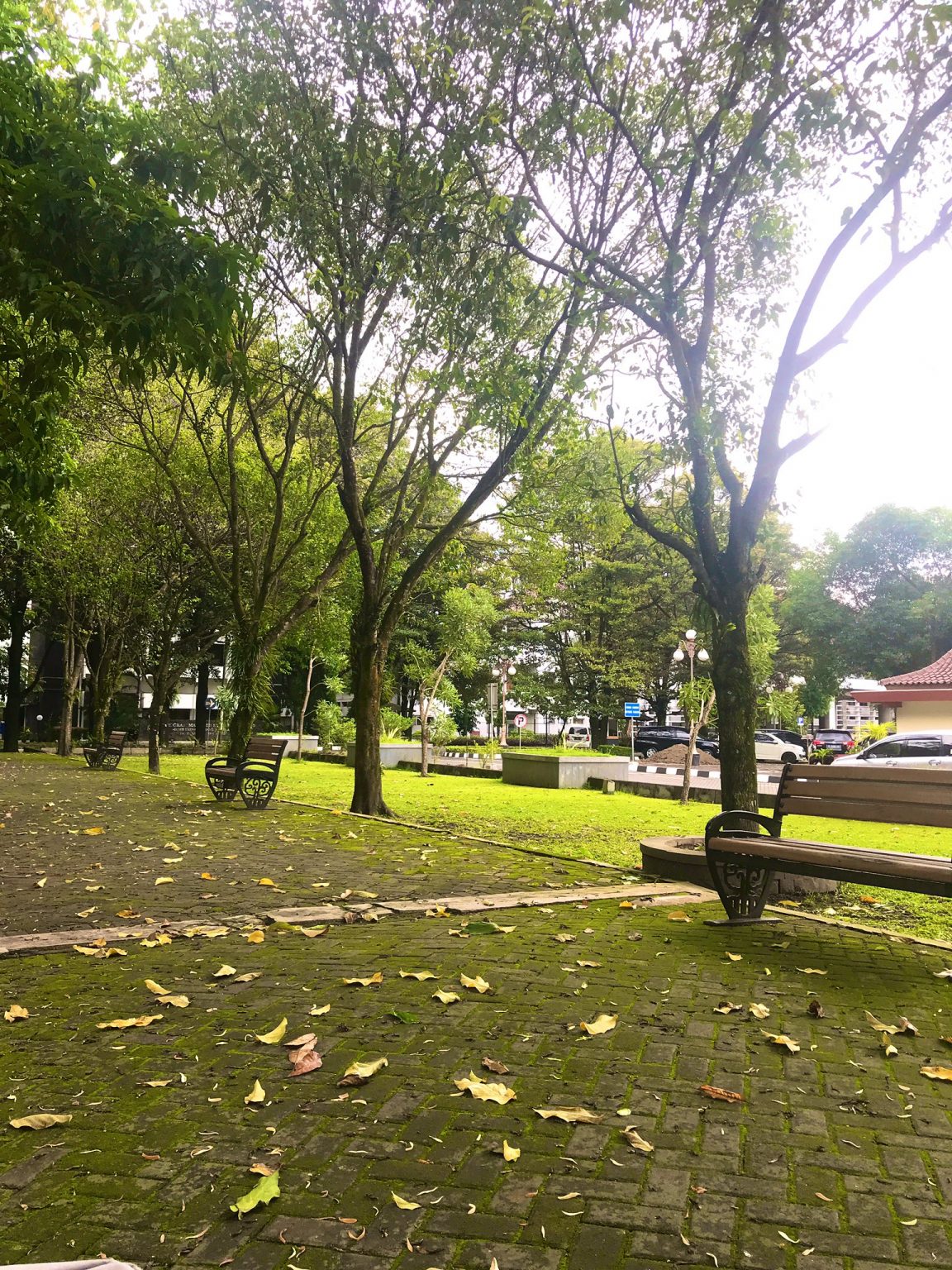 Wisata di Kampus UGM - Diah's Journal